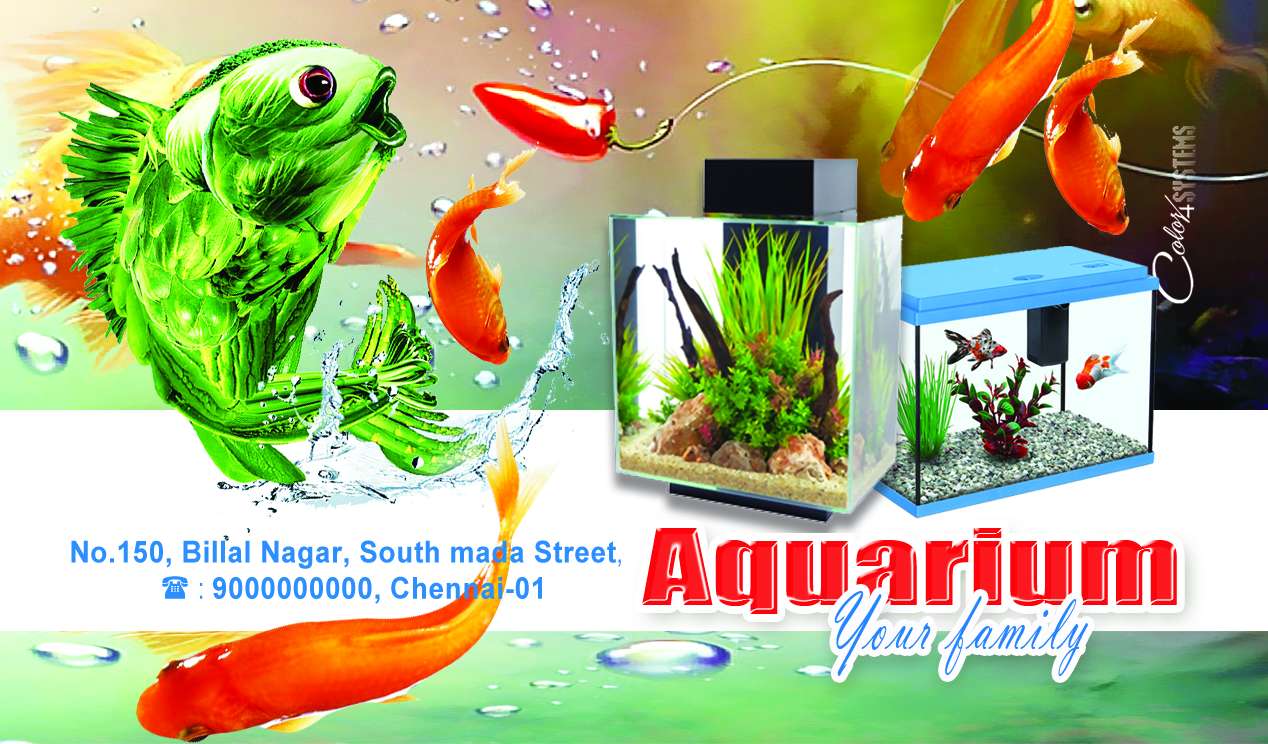Aquarium Psd Template Free Download – karkitechs.com - Karki Techs