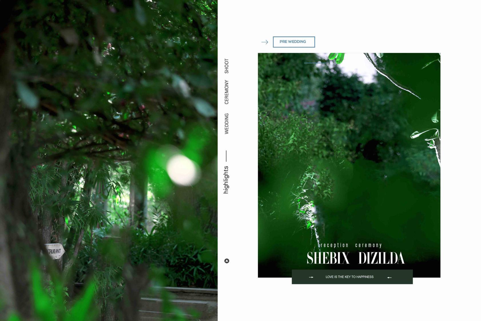 #18 – DINESH WEDDING ALBUM SHEETS - Karki Techs