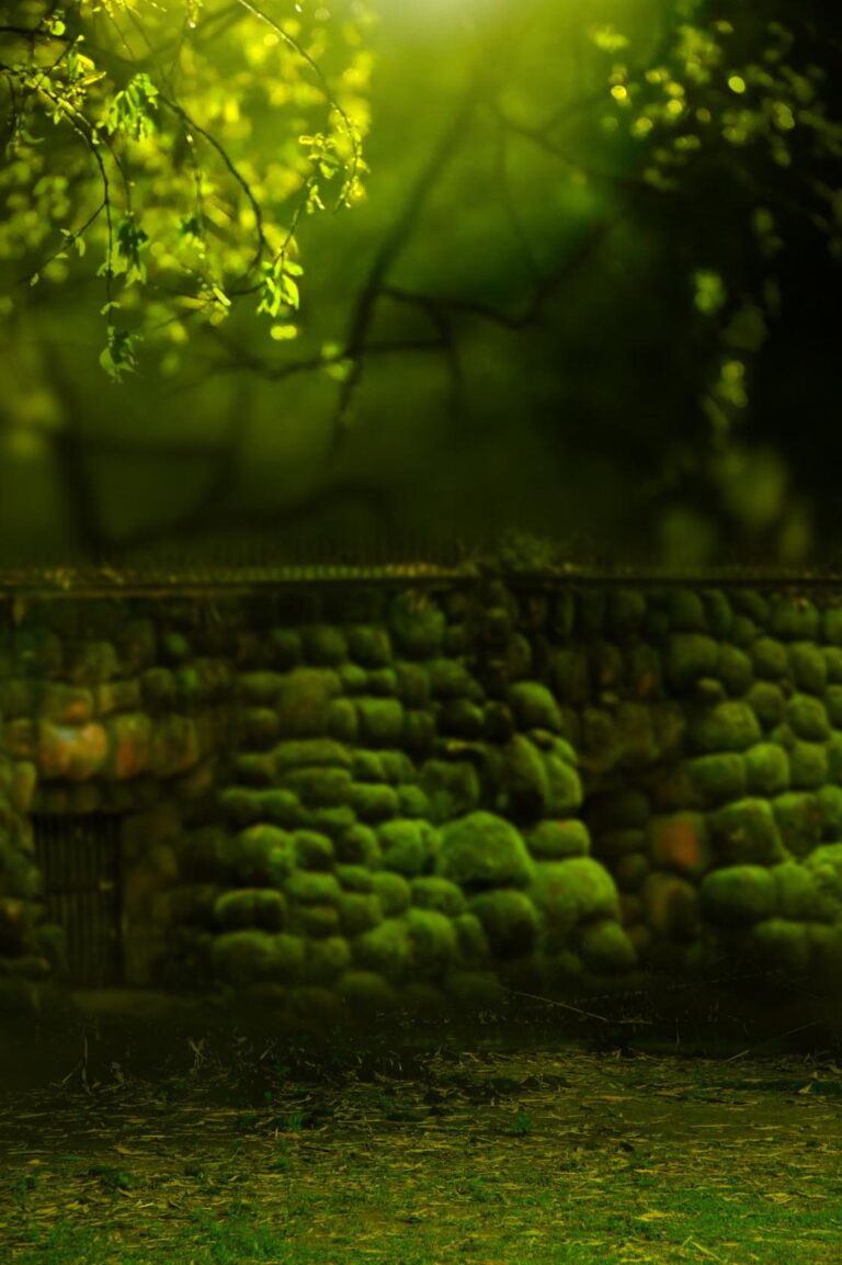 STUDIO BACKGROUND PSD COLLECTION - #1 - Karki Techs