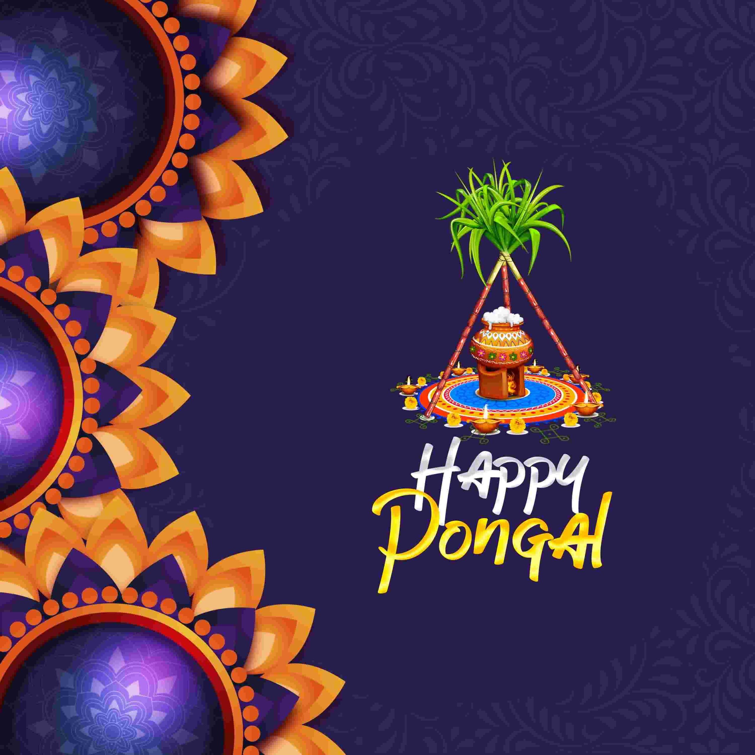 Pongal Wish Flex Banner PSD Collection - Karki Techs